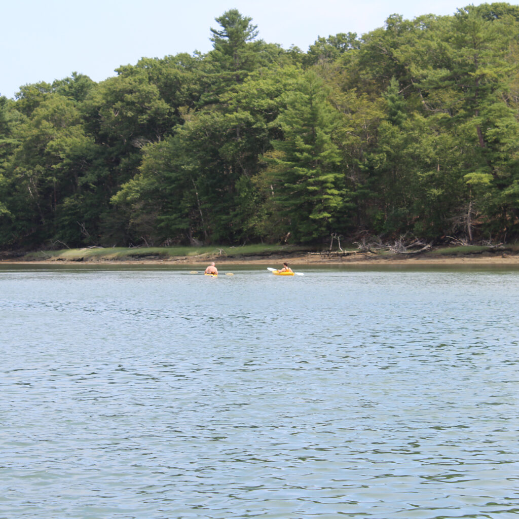 York River Watershed Grants Program - York River Stewardship Committee